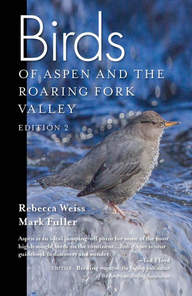 It’s a bird’s world in the Roaring Fork Valley | AspenTimes.com